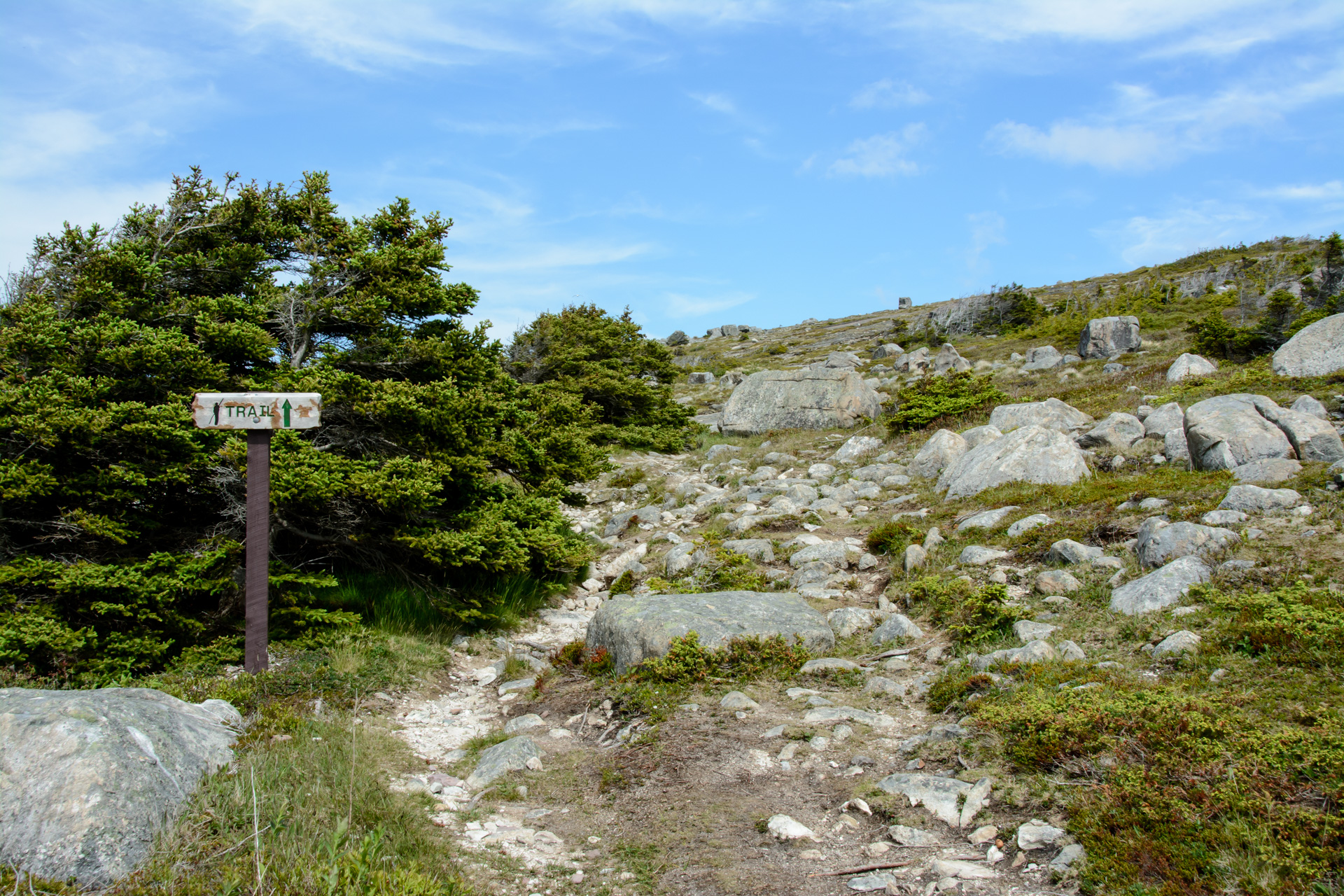 The Iceberg and Father Troy – The Traveling Squirrel