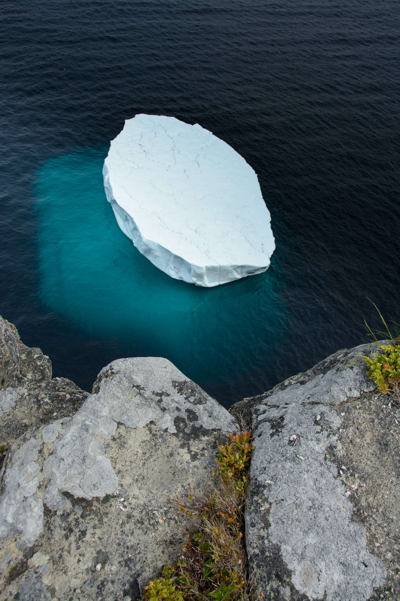 The Iceberg and Father Troy – The Traveling Squirrel